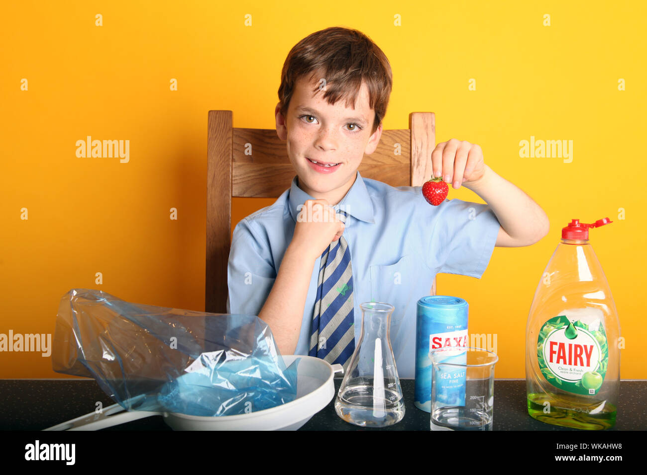Extracting DNA from a Strawberry Science Experiment at Home with Young ...