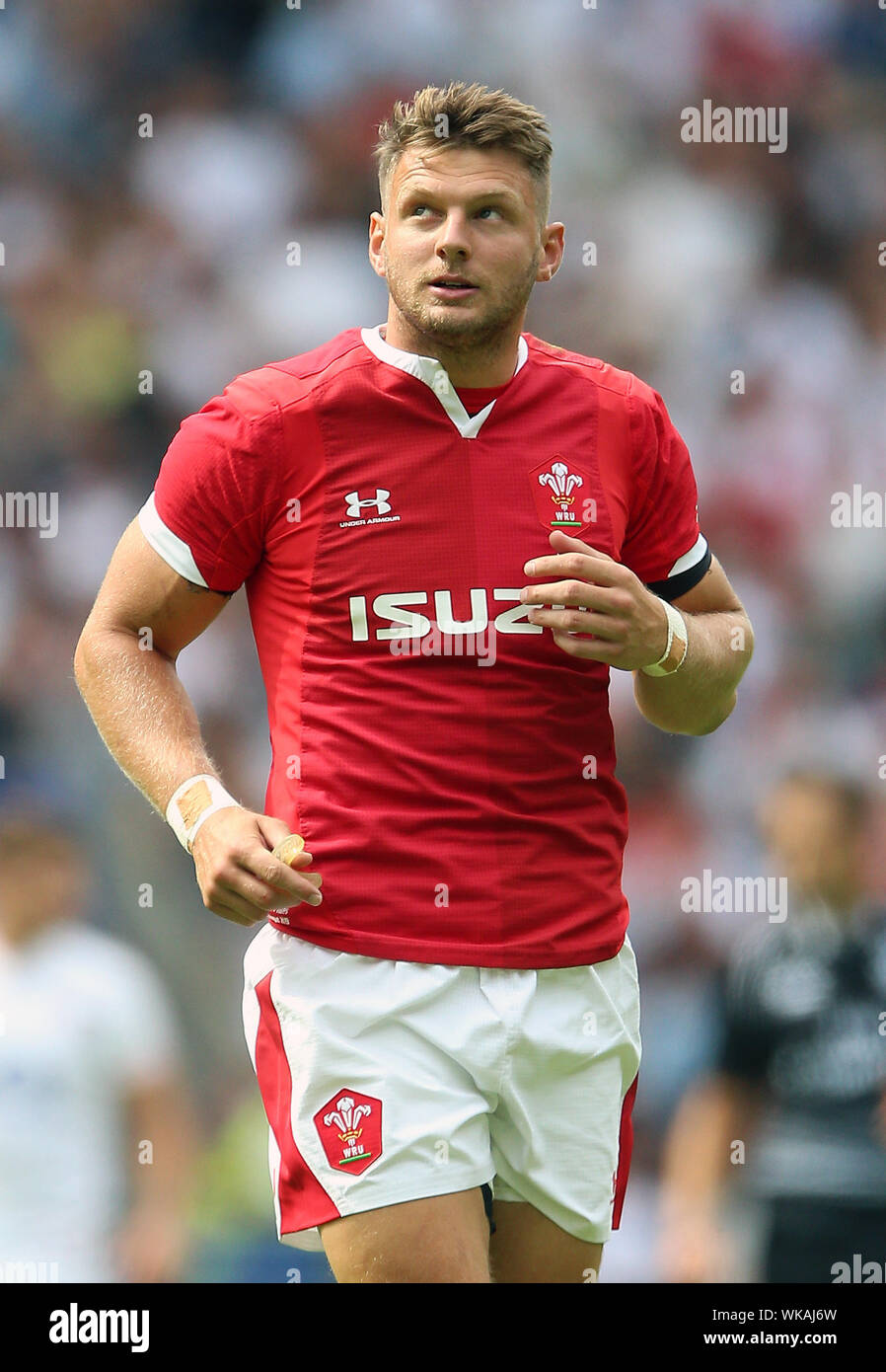 Wales' Dan Biggar Stock Photo - Alamy
