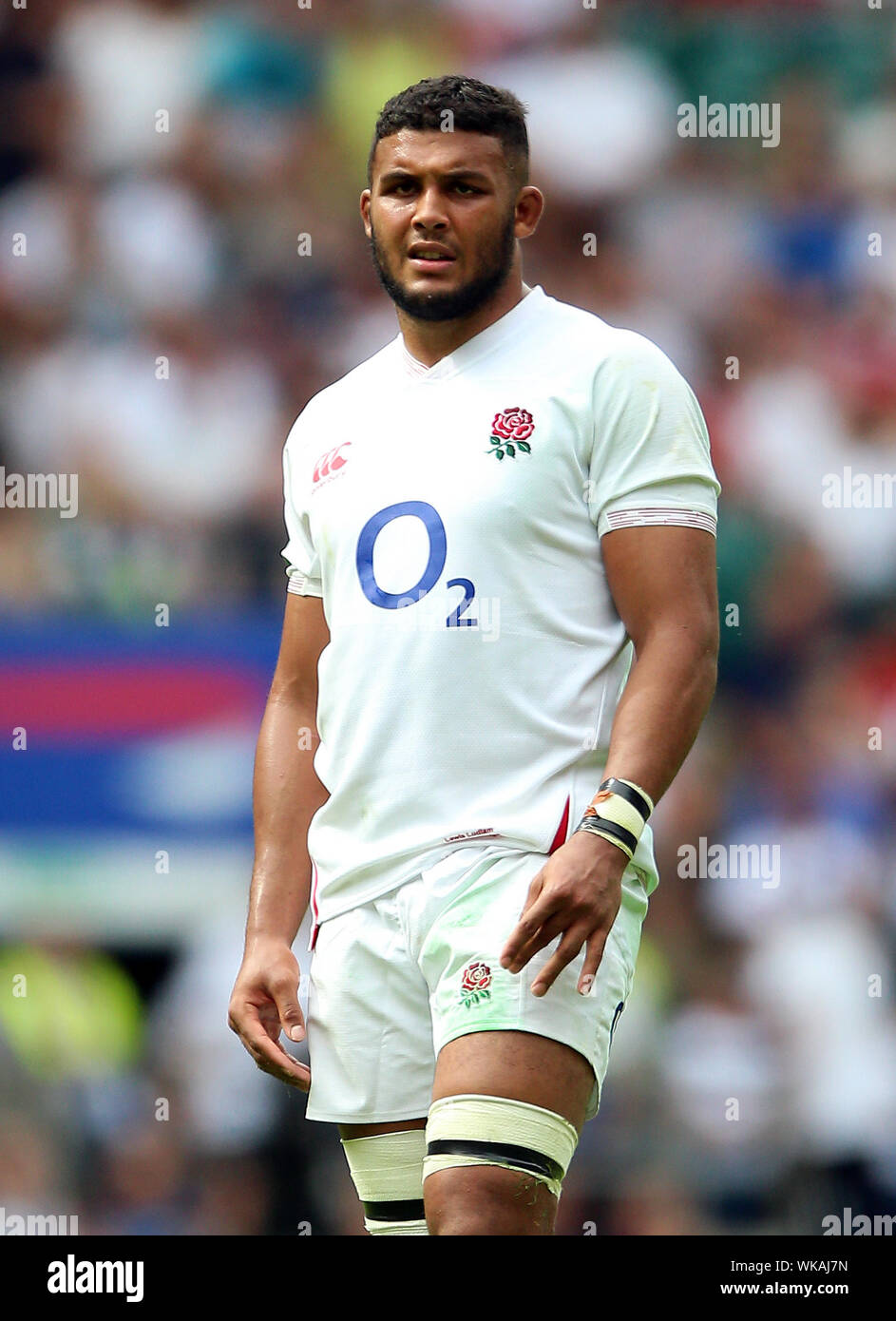 Lewis ludlam wales hi-res stock photography and images - Alamy