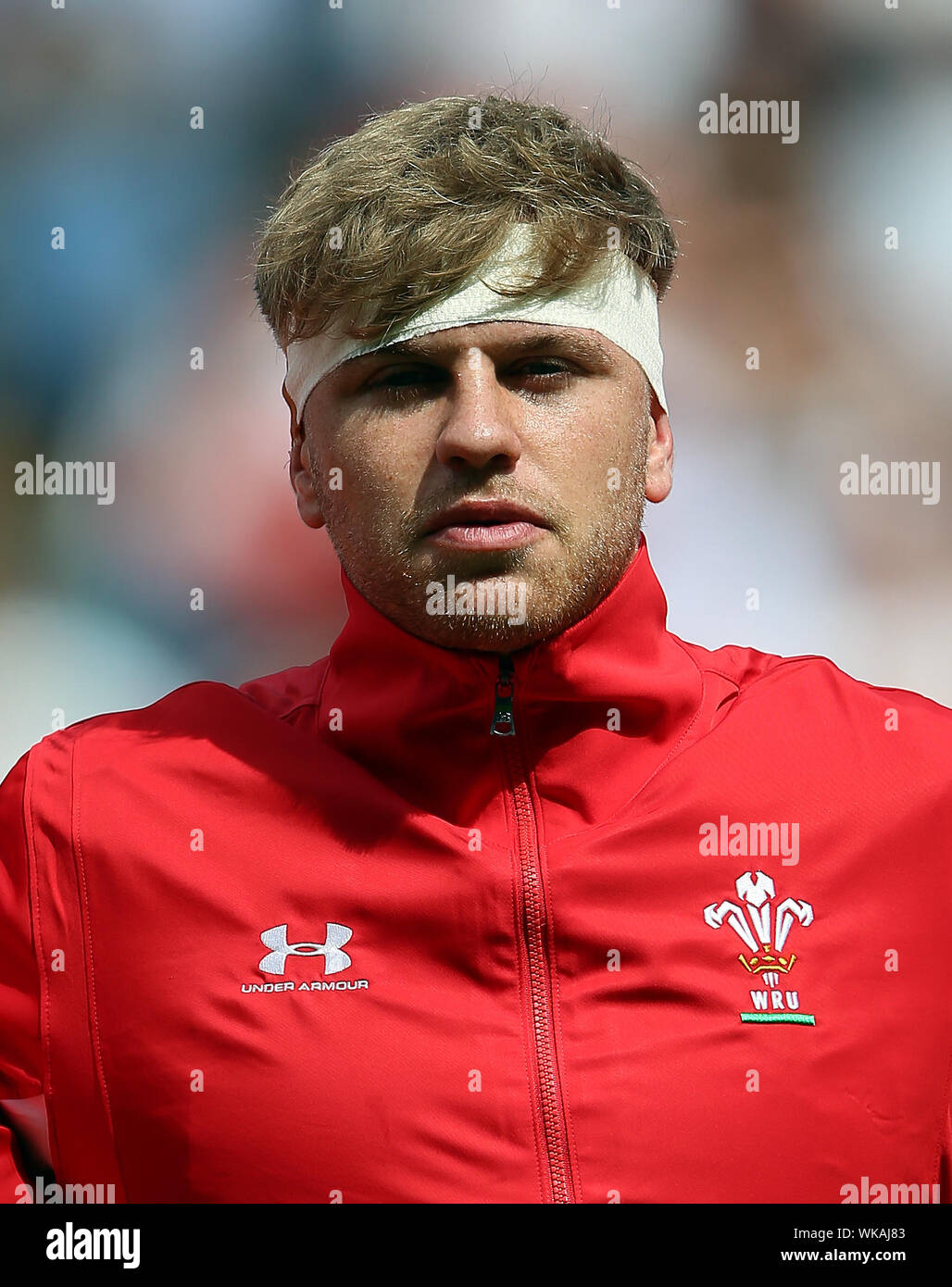 Wales' Aaron Wainwright Stock Photo - Alamy