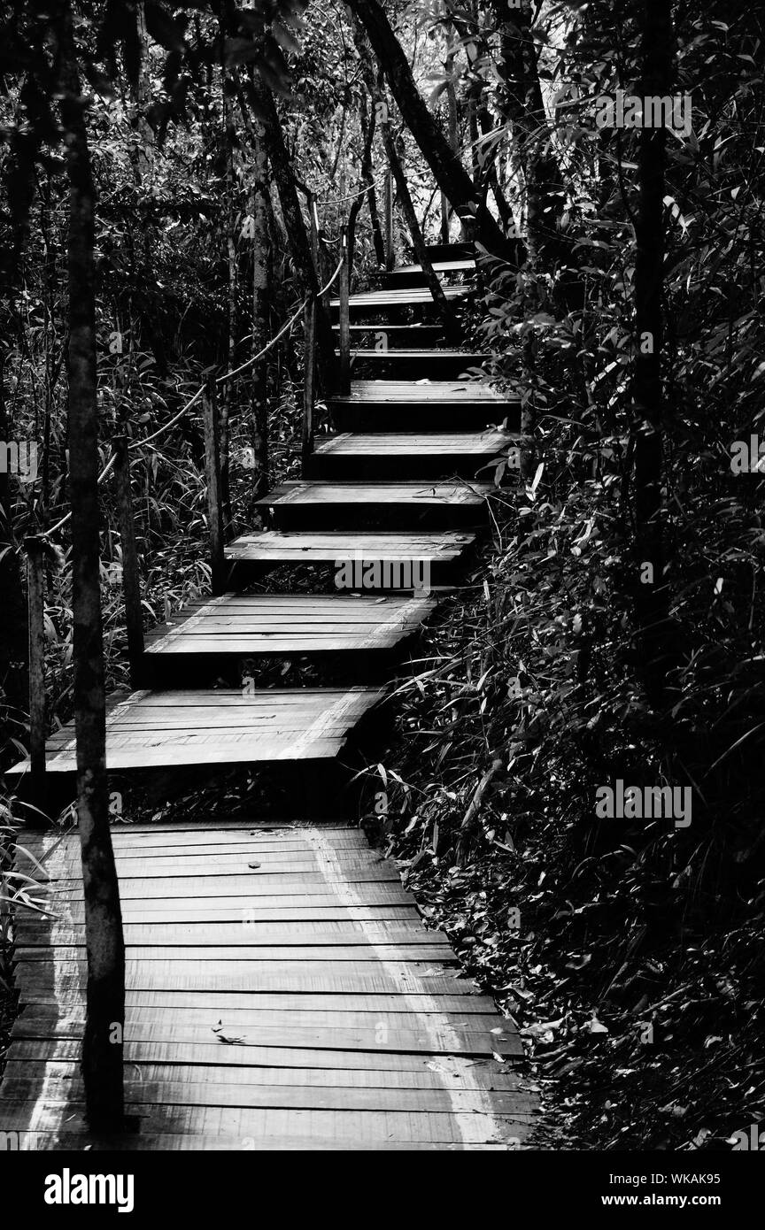 Stairs steps and staircases steps Black and White Stock Photos & Images ...