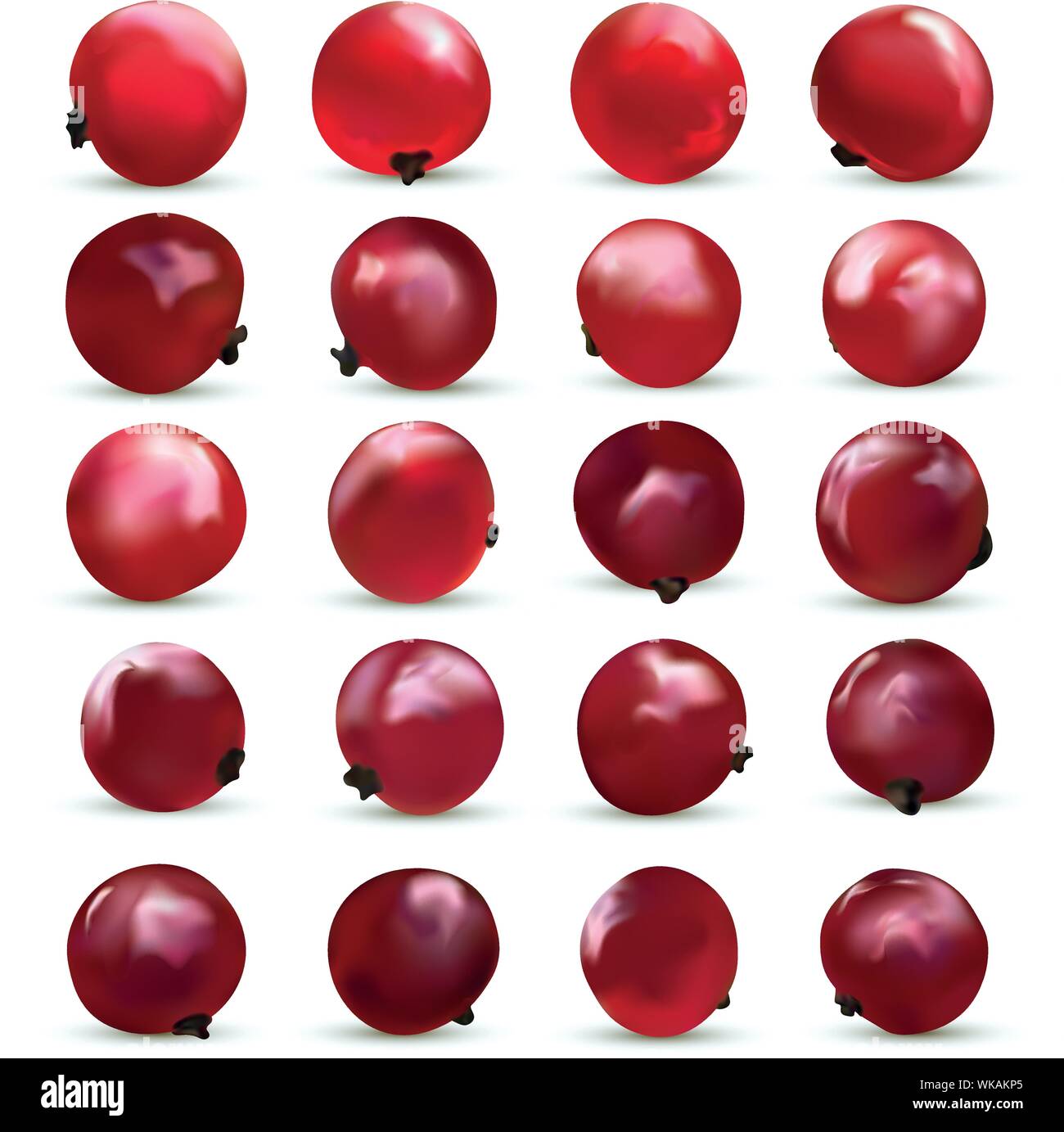 3D realistic berry isolated on white background. Red currant berry ...