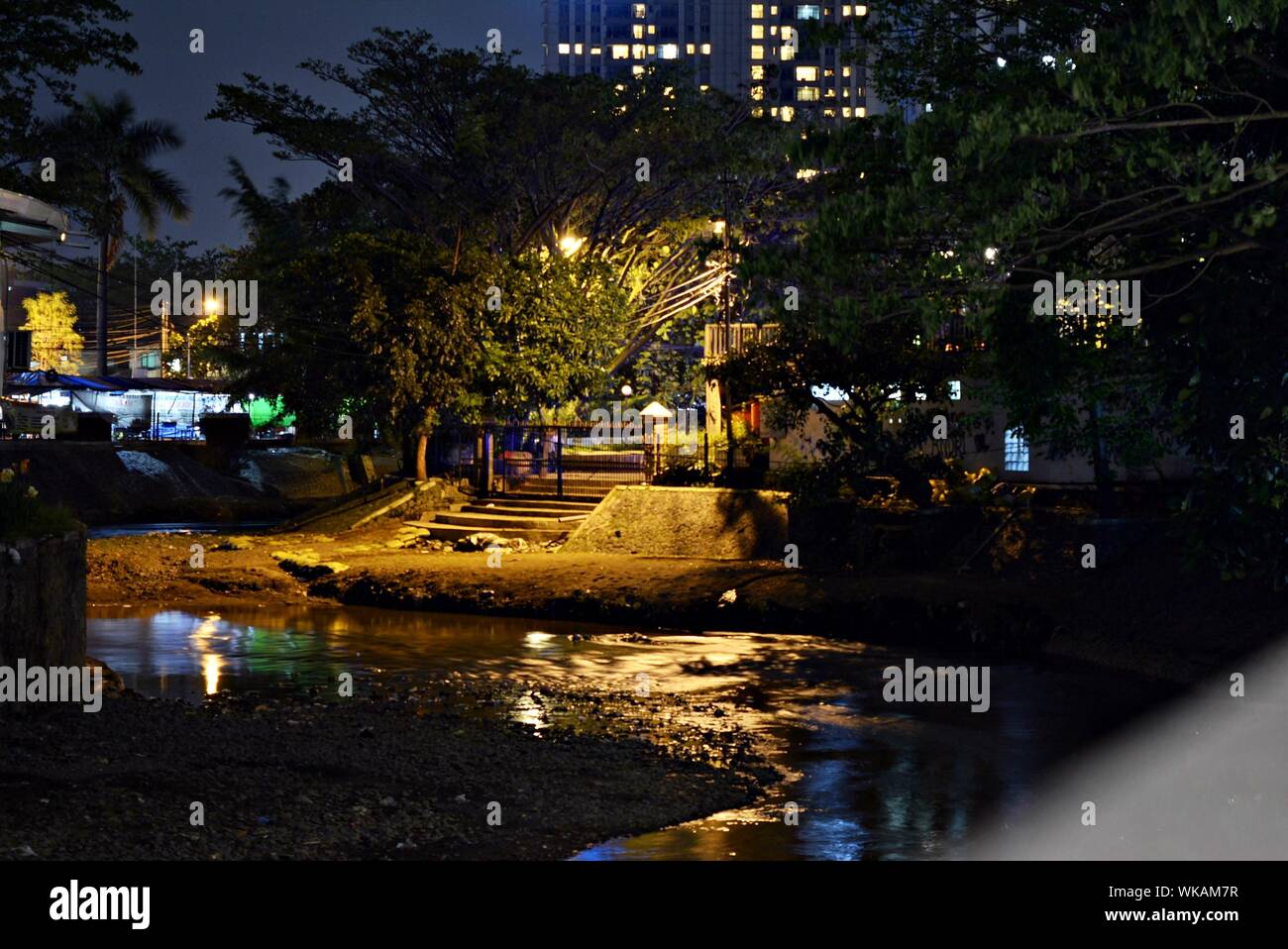 Trees By River In Park At Night Stock Photo - Alamy