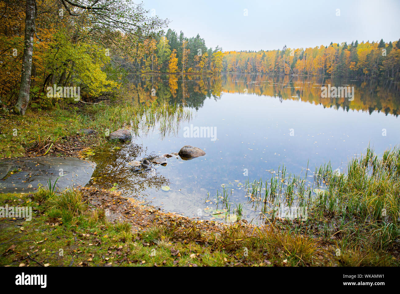 Serene Scandinavian autumn landscape of Southern Finland, Espoo ...