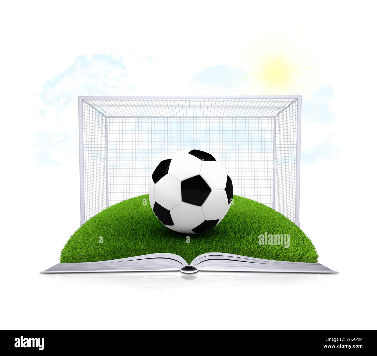 Soccer ball, gate and green grass on an open white book. Sport ...
