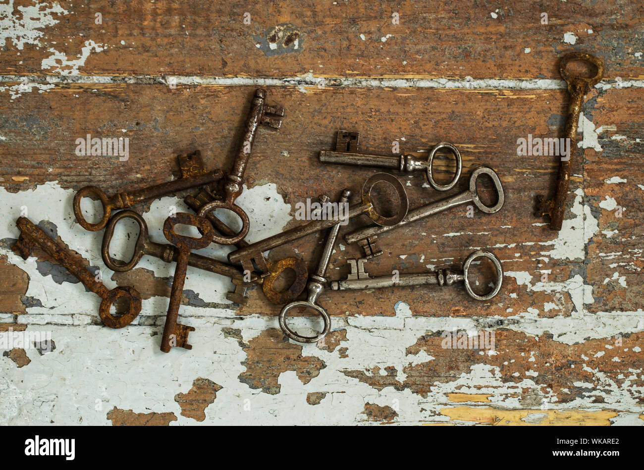 Bac1 hi-res stock photography and images - Alamy
