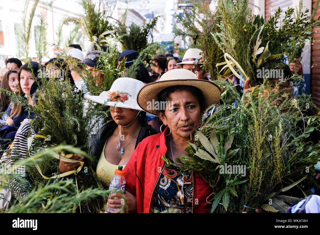 Residents of Quito in Ecuador carry bouquets of leaves and plants as ...