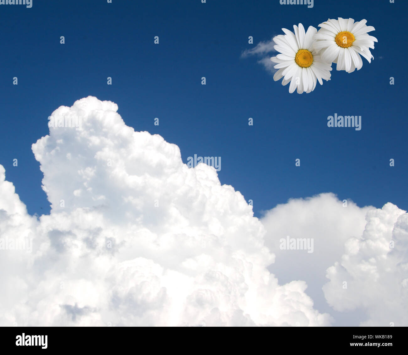 Floral sky background Stock Photo - Alamy