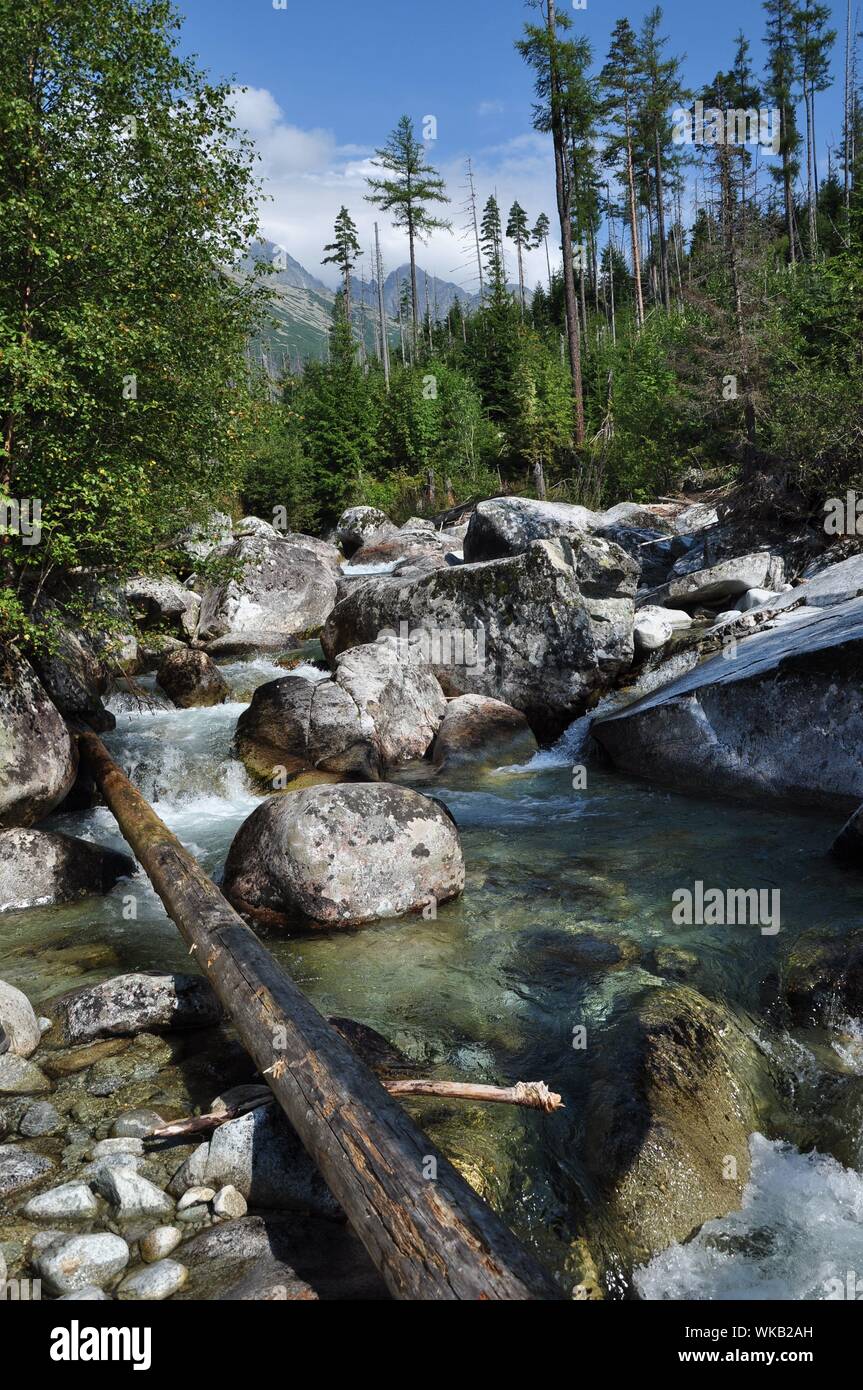 Mountain trail adventures hi-res stock photography and images - Alamy