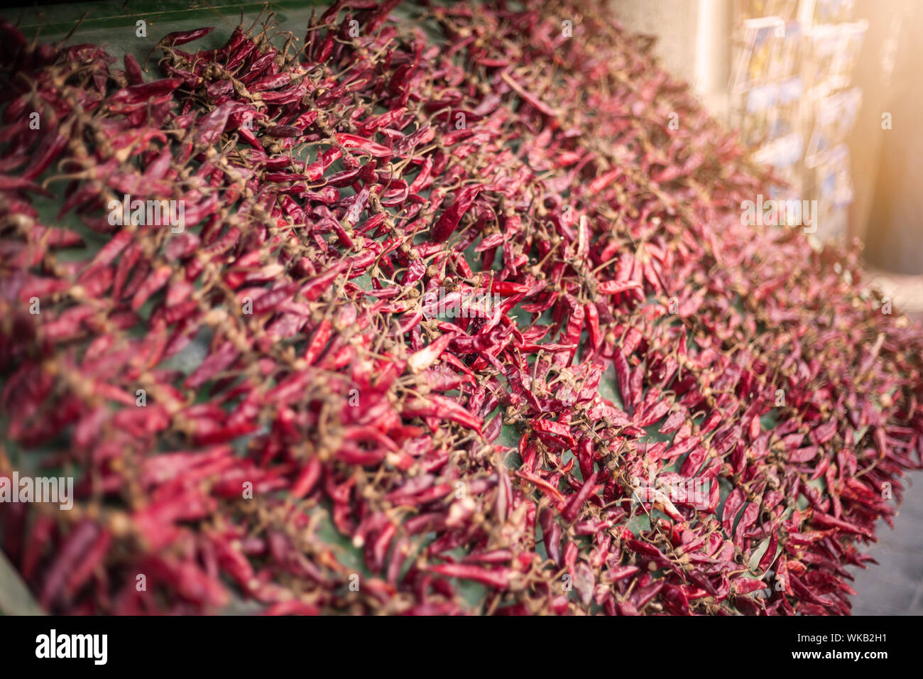 Drying chili pepper hi-res stock photography and images - Alamy