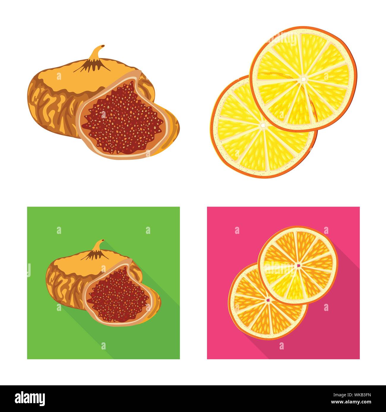 Vector illustration of food and raw icon. Collection of food and nature ...
