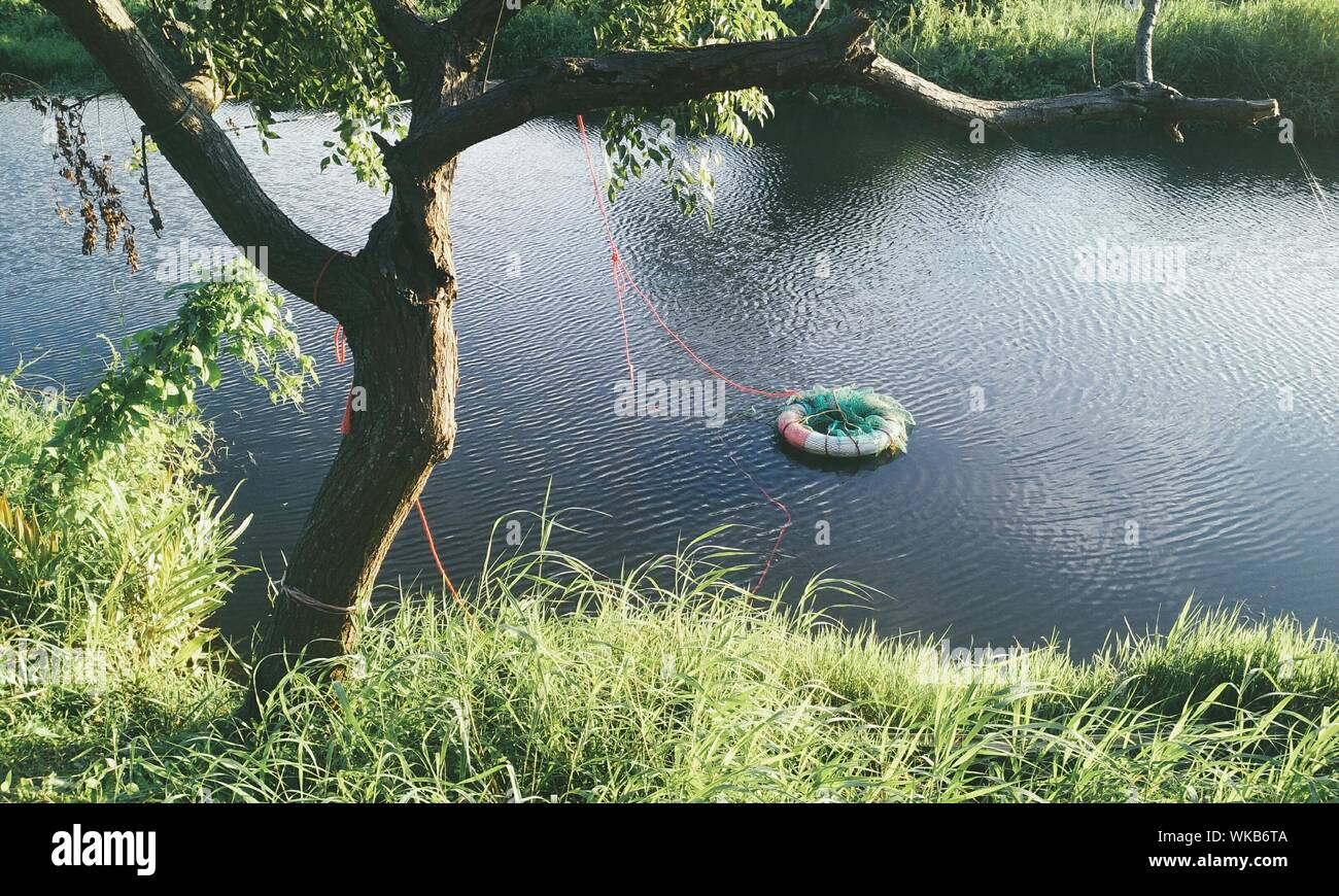 Tree floating river hi-res stock photography and images - Alamy
