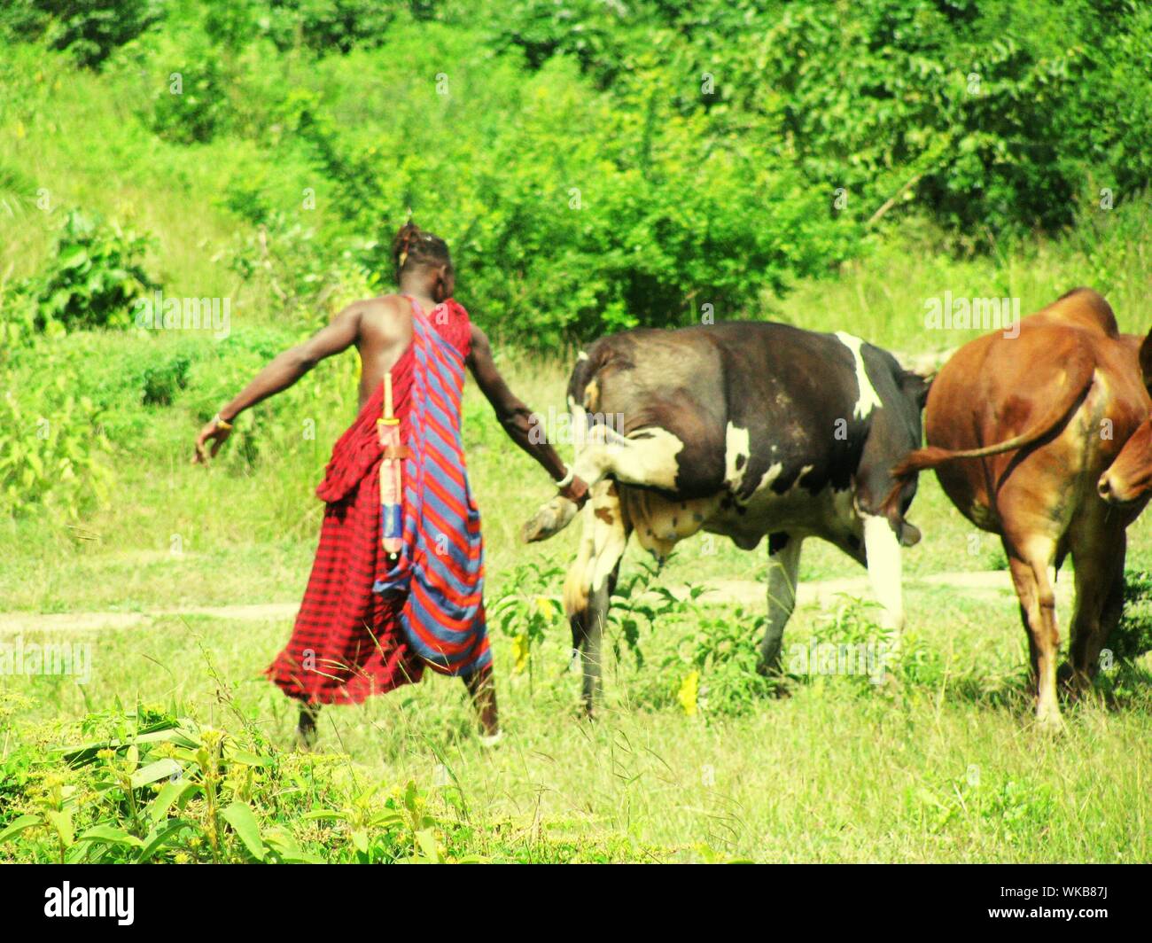 Pulling Your Leg High Resolution Stock Photography and Images - Alamy