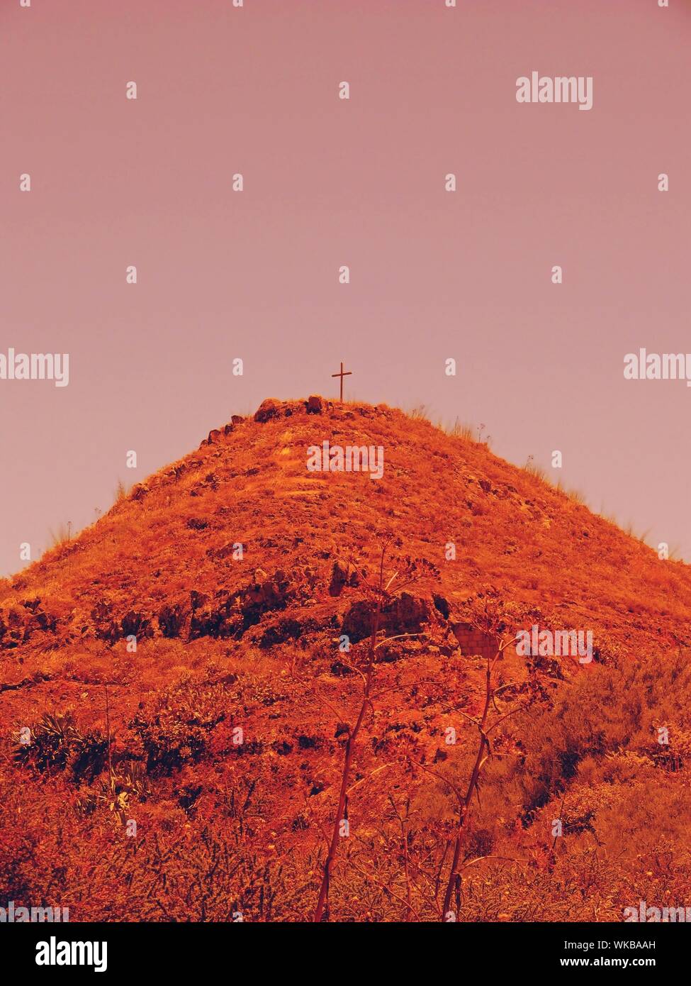 Hill top low nature hi-res stock photography and images - Alamy
