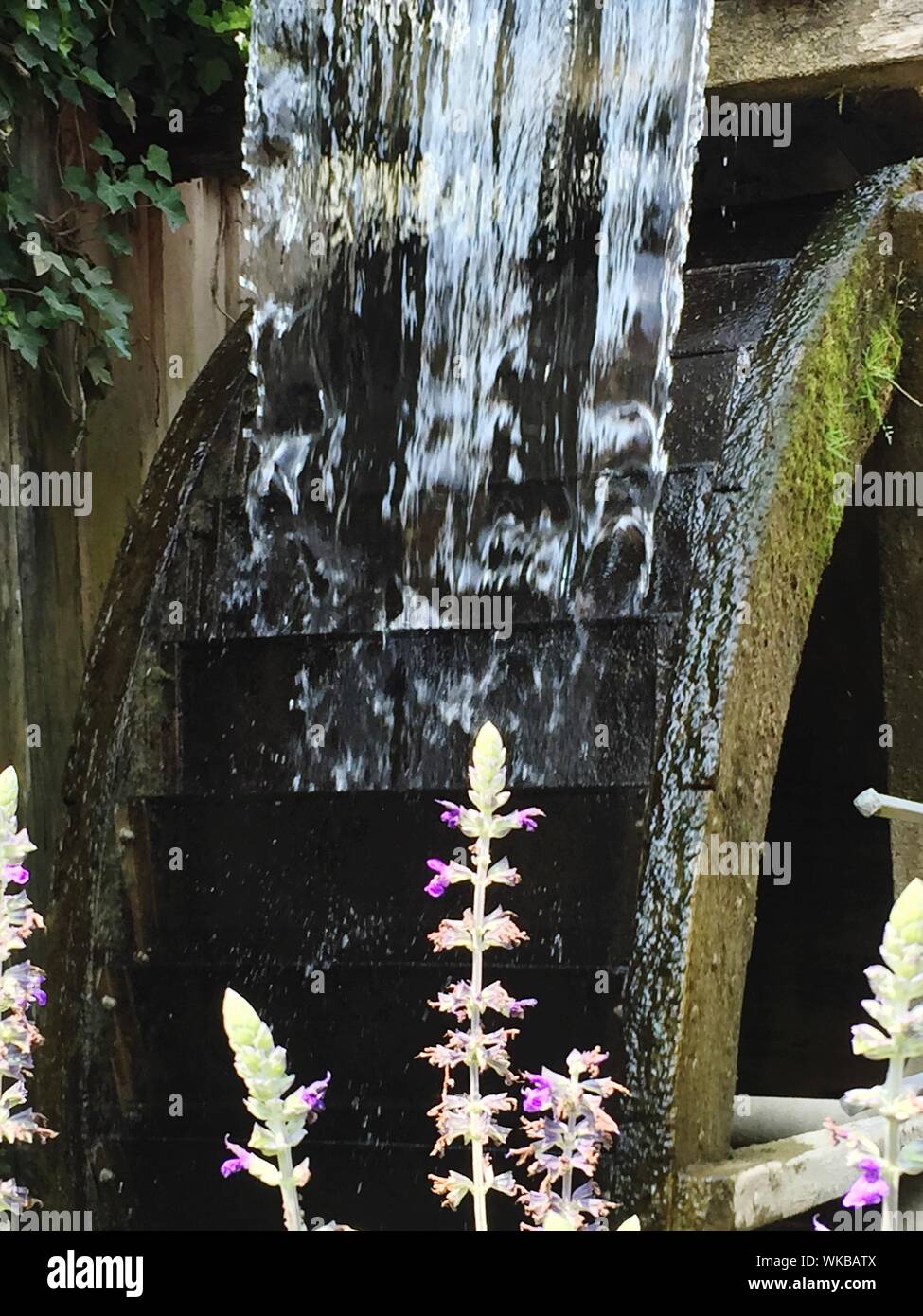 Water wheel park hi-res stock photography and images - Alamy