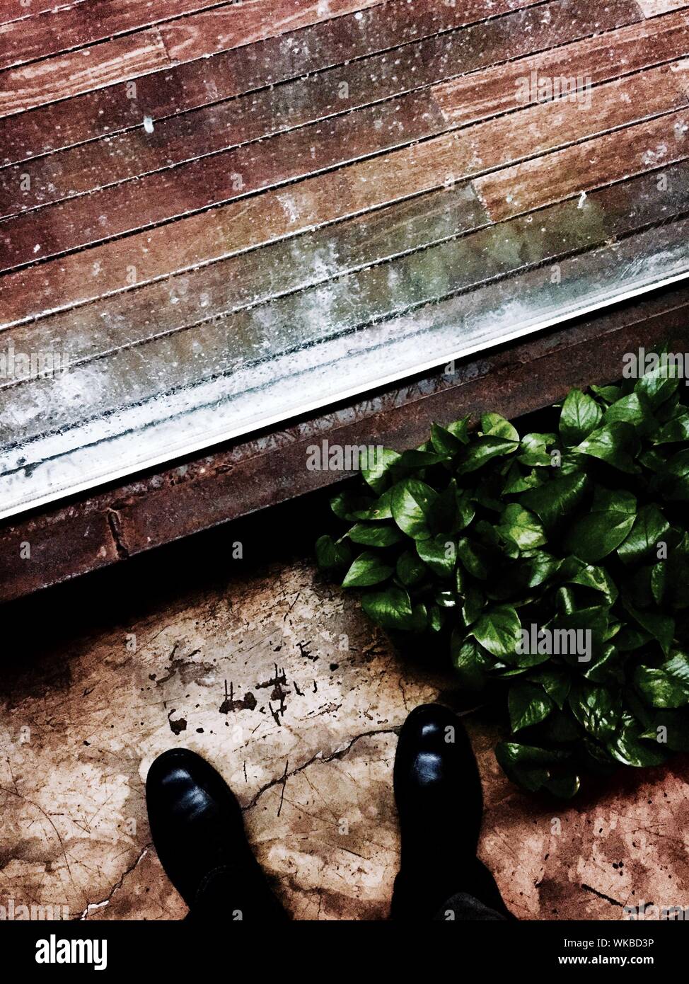 Front view body hi-res stock photography and images - Alamy