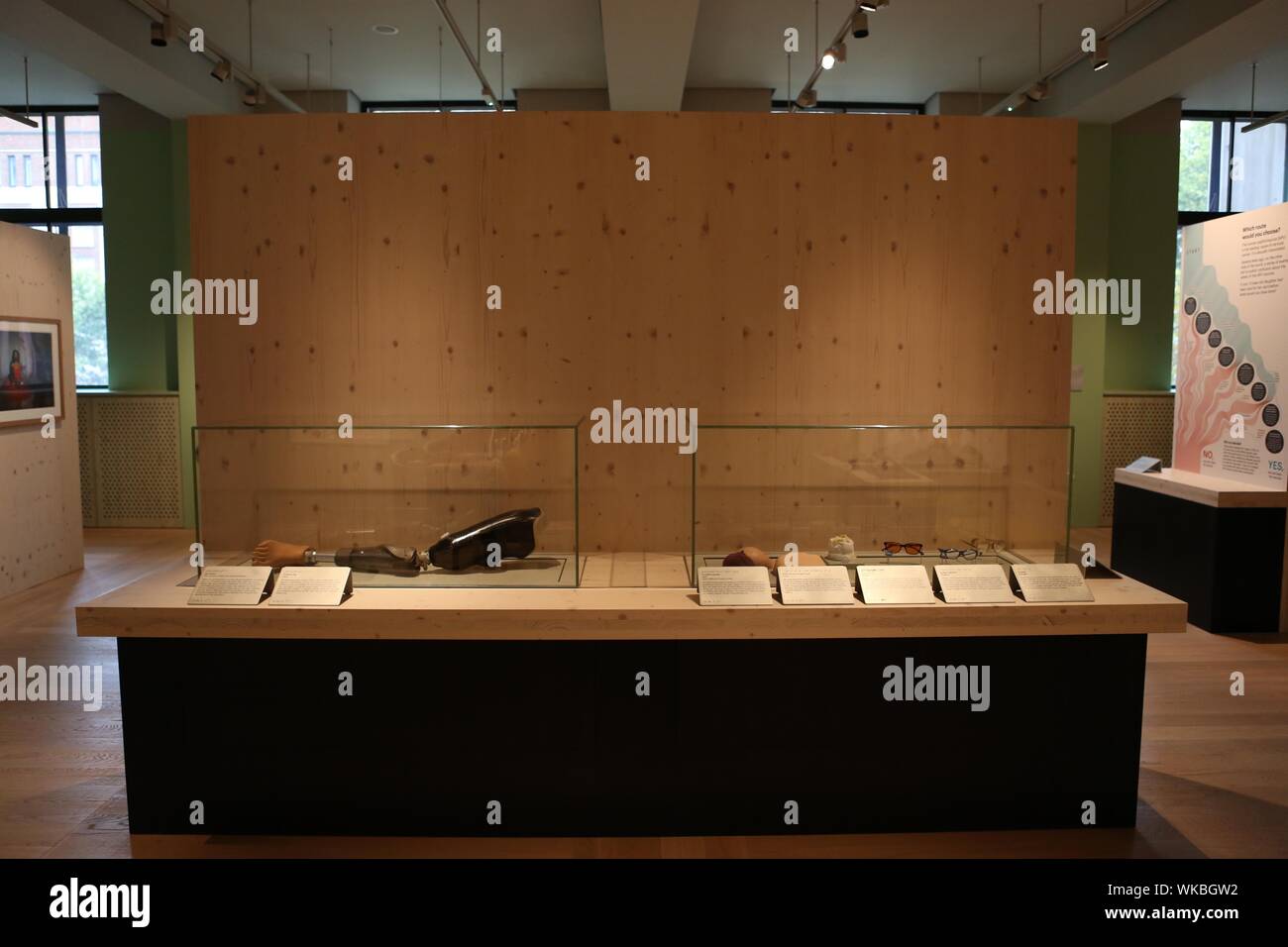 Being Human . The new permanent gallery at Welcome Collection has ...