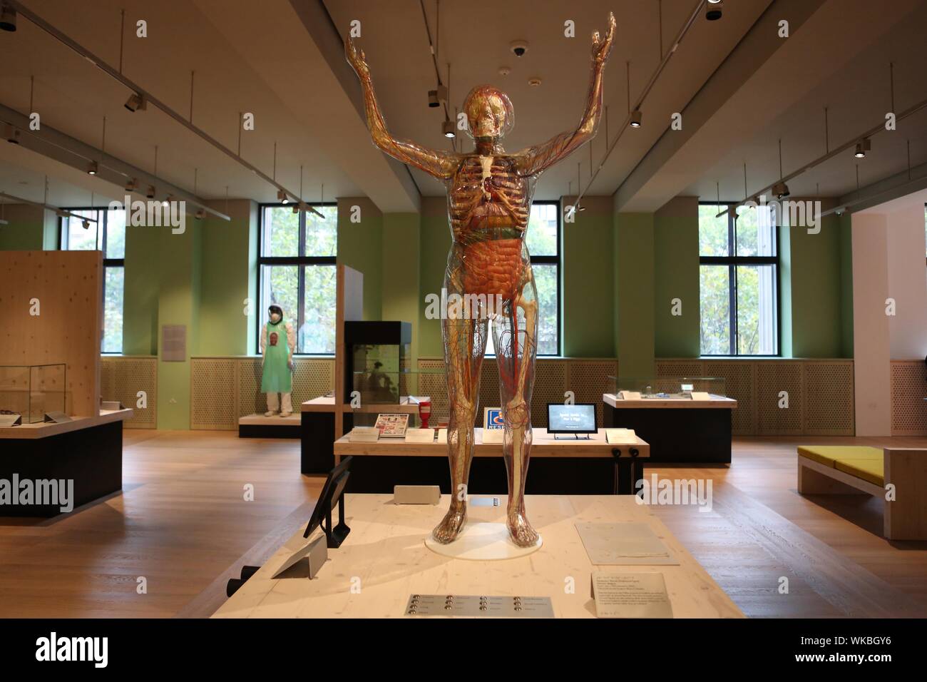 Being Human . The new permanent gallery at Welcome Collection has ...