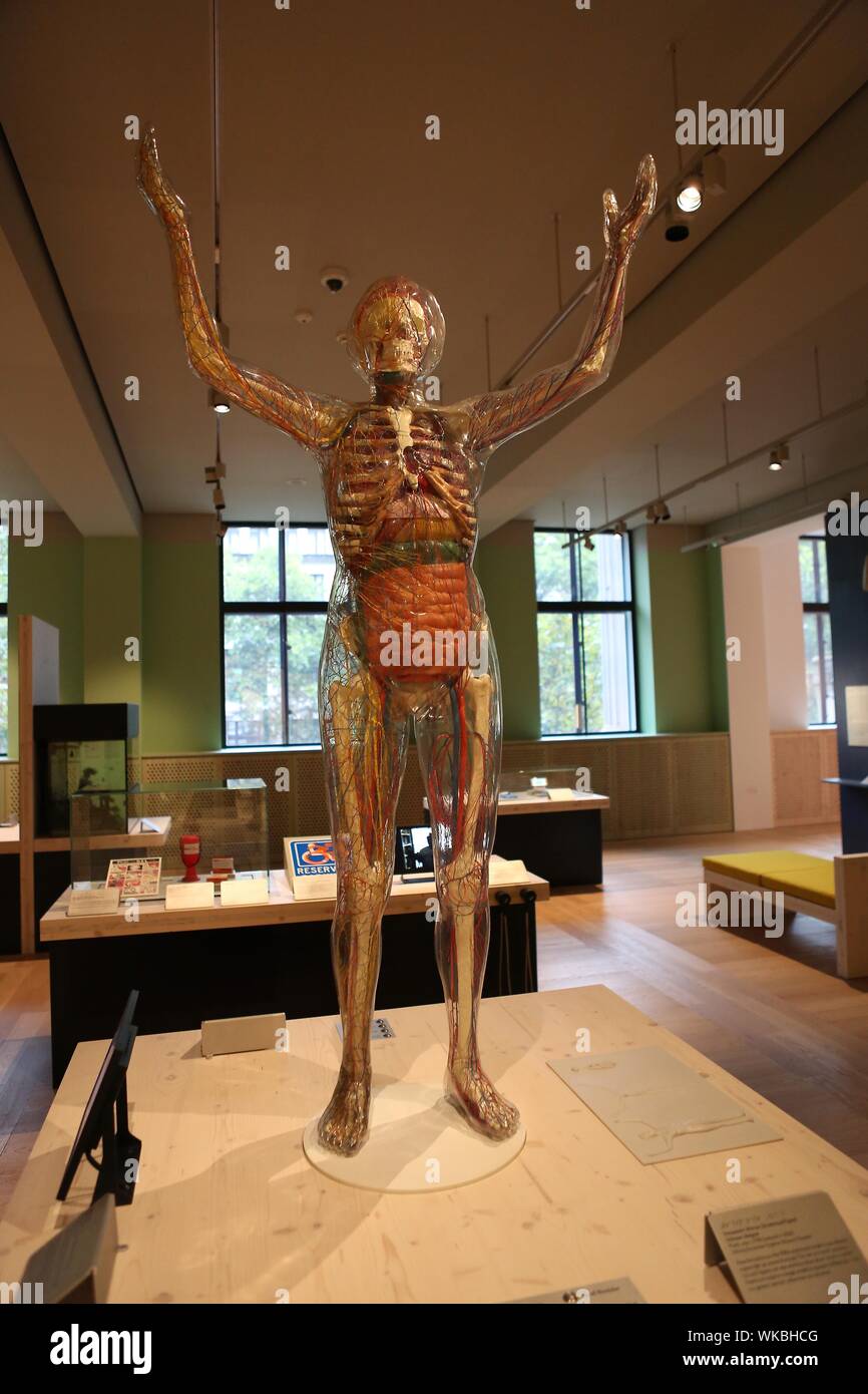 Being Human . The new permanent gallery at Welcome Collection has ...