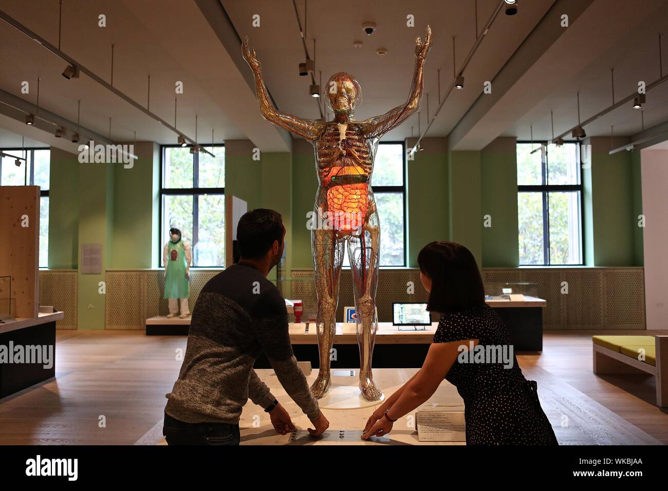 Being Human . The new permanent gallery at Welcome Collection has ...