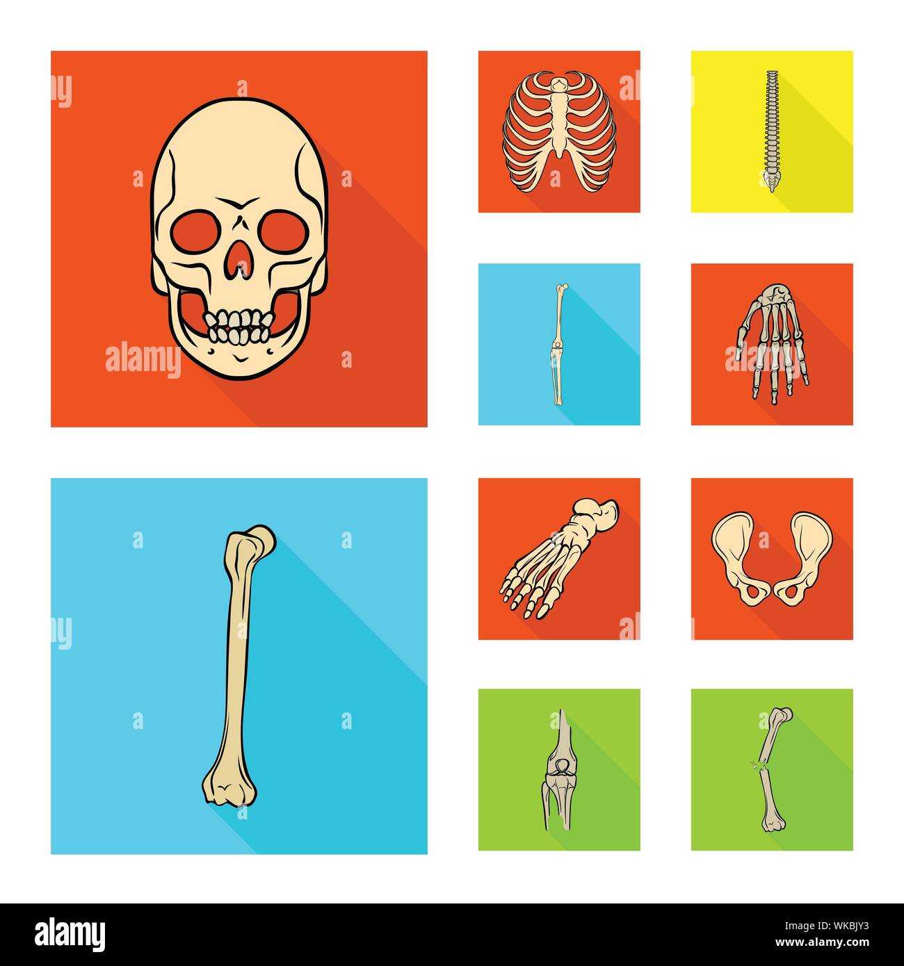 Vector Vectors Stock Vector Image & Art - Alamy
