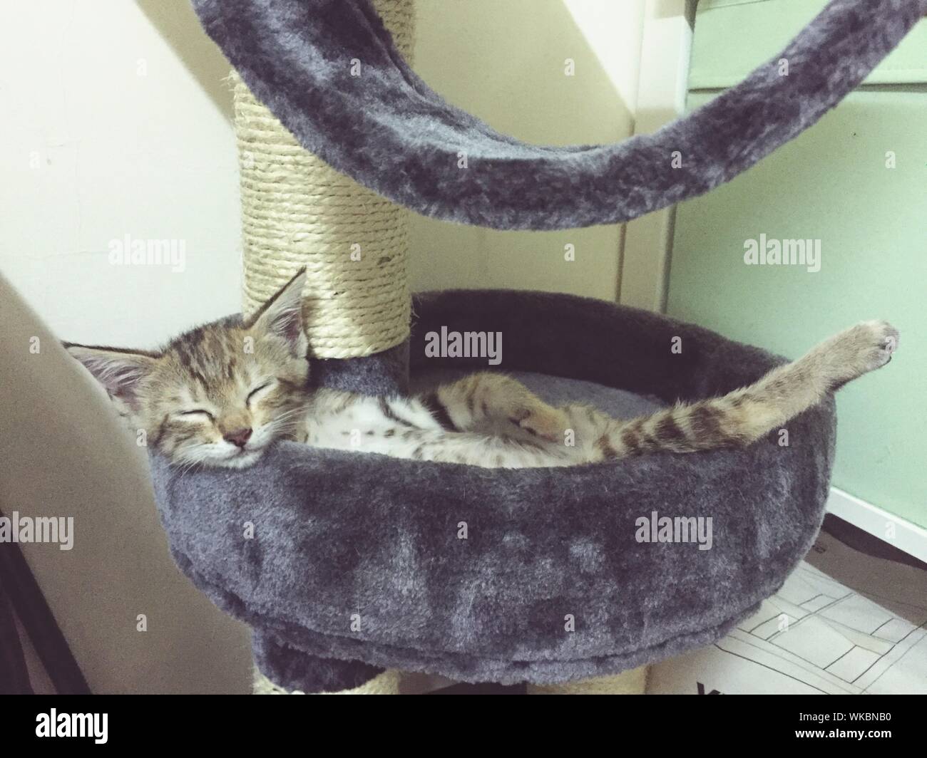 Closed high seat hi-res stock photography and images - Alamy