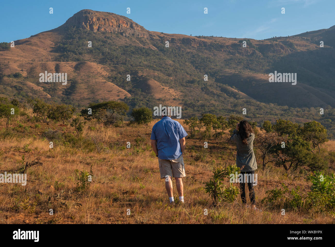 Birding in nature hi-res stock photography and images - Alamy