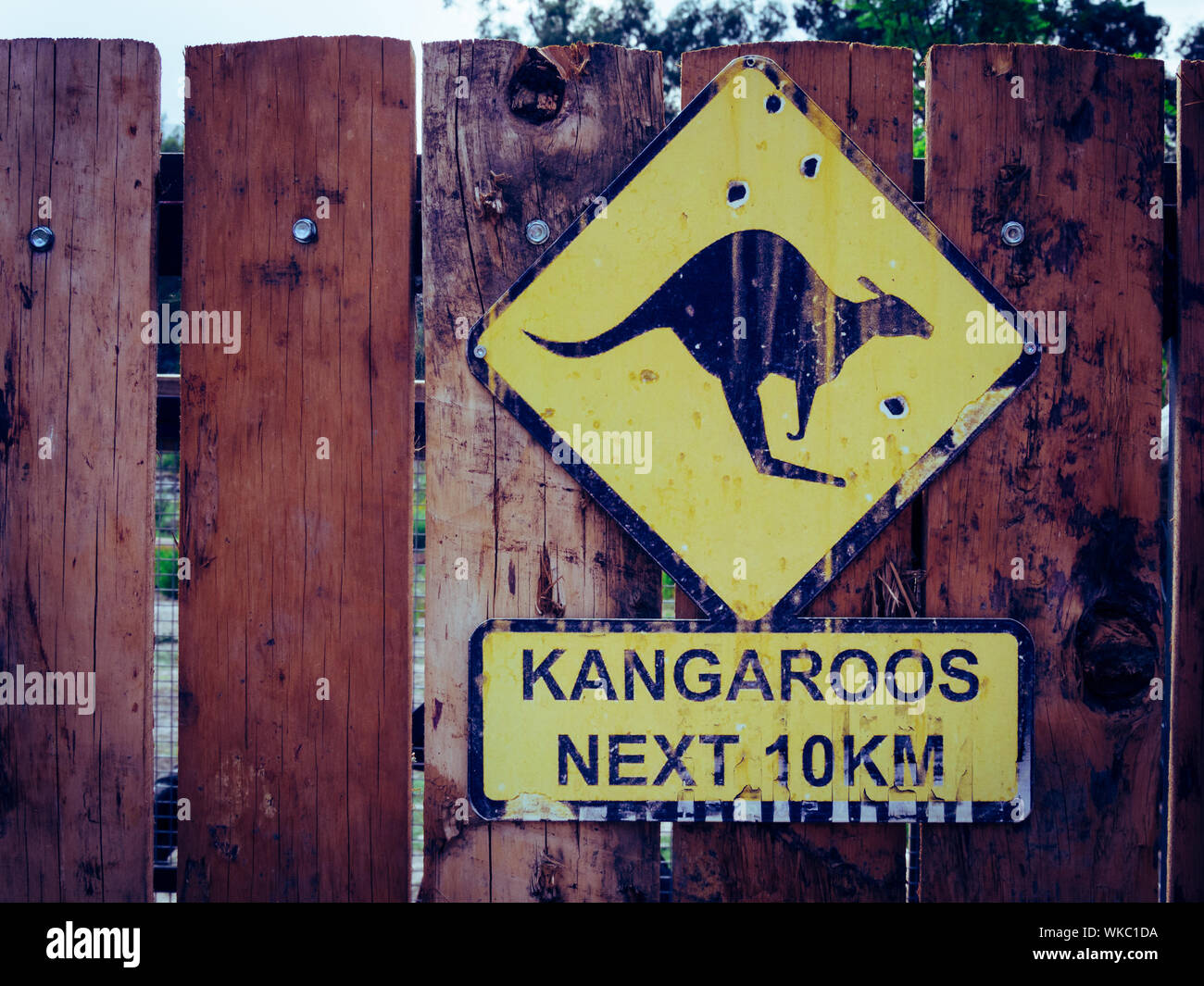 Kangaroos crossing sign hi-res stock photography and images - Alamy