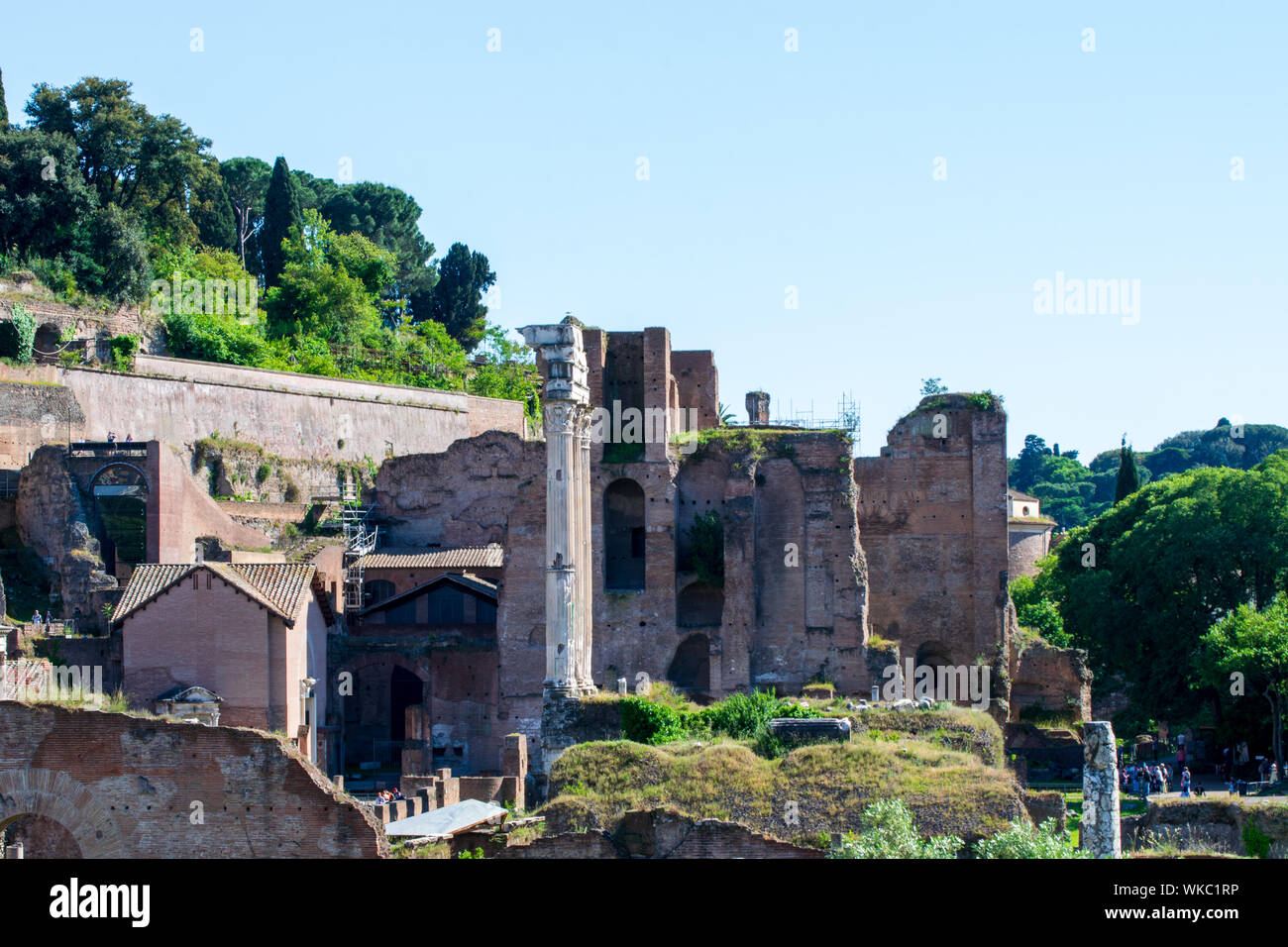 Landscape of the ruins from the Roman Forum, Rome, Italy Stock Photo ...