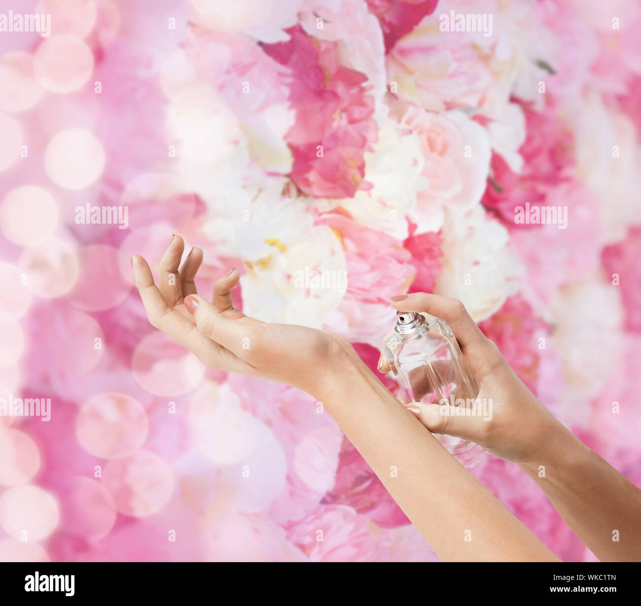 cosmetics, body parts and beauty concept - close up of woman hands ...