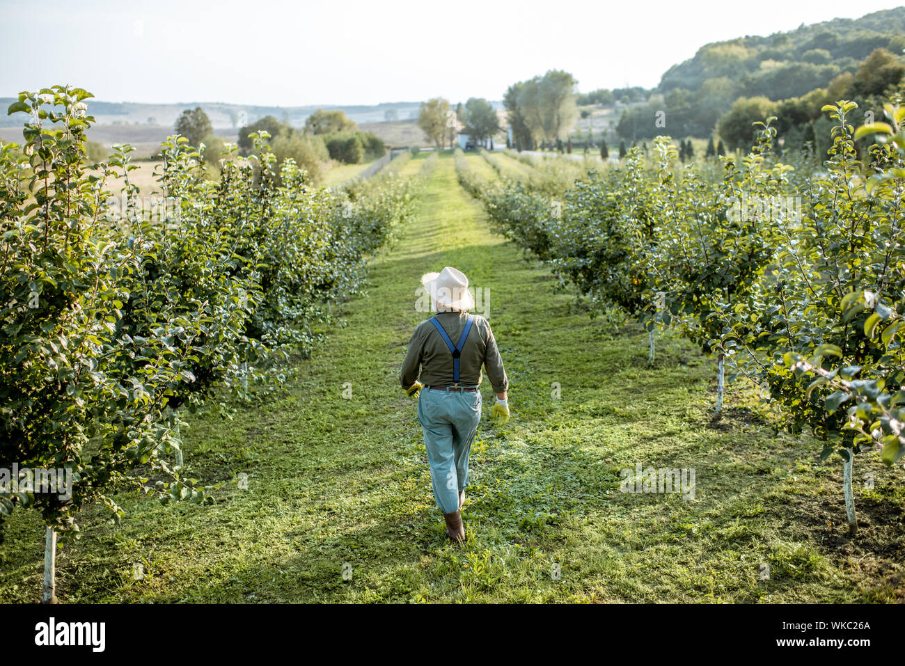 Male gardener rear view hi-res stock photography and images - Alamy