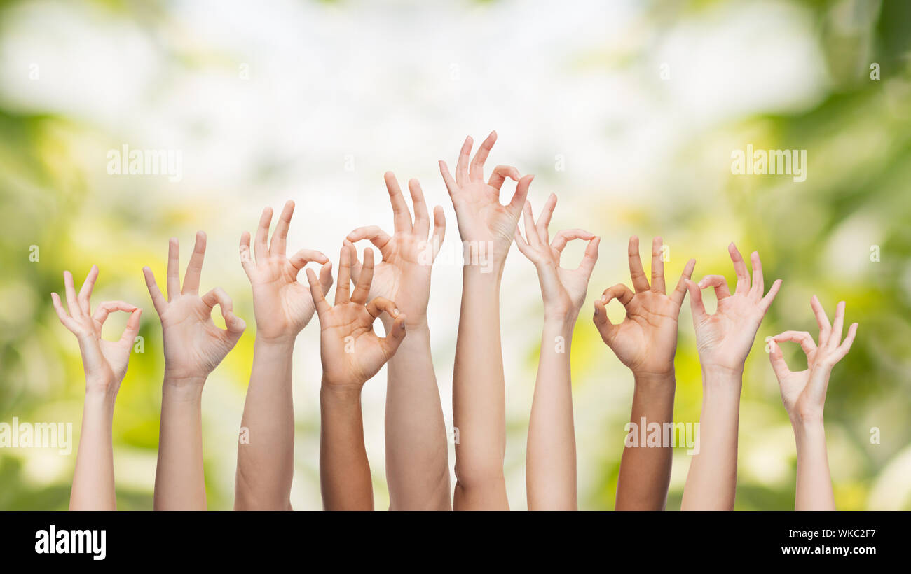 gesture and body parts concept - human hands showing ok sign Stock ...