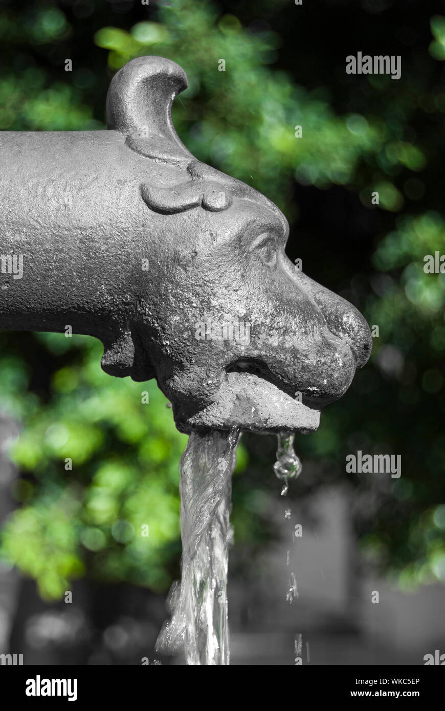 Water gargoyle hi-res stock photography and images - Alamy