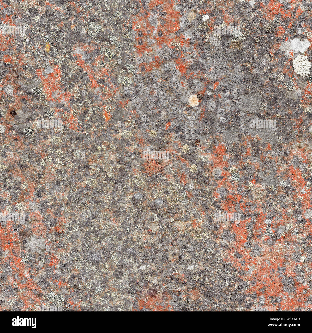 Seamless texture - the surface rock with lichen Stock Photo - Alamy
