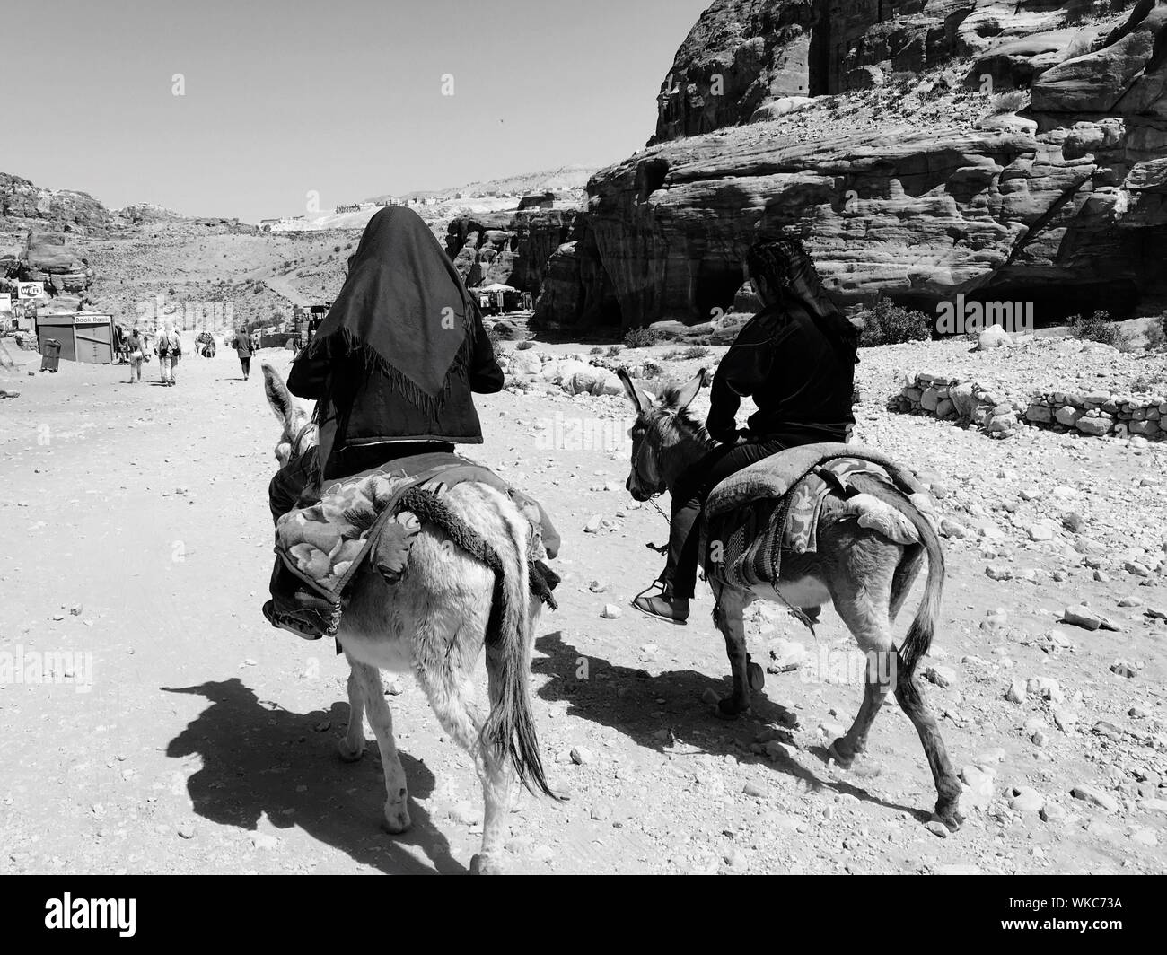 Donkeys and people hi-res stock photography and images - Alamy