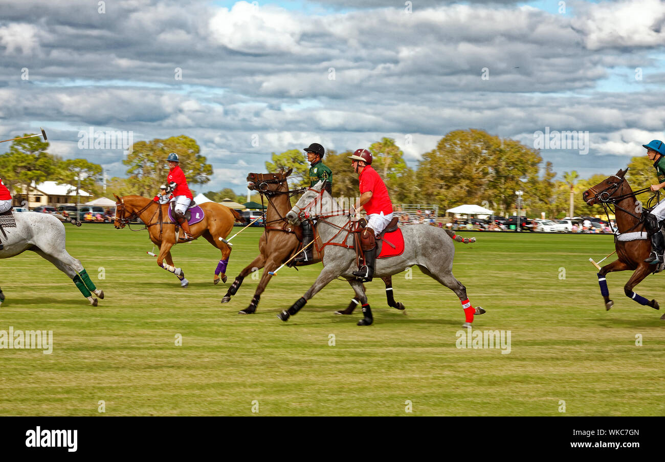 Lakewood ranch polo hi-res stock photography and images - Alamy