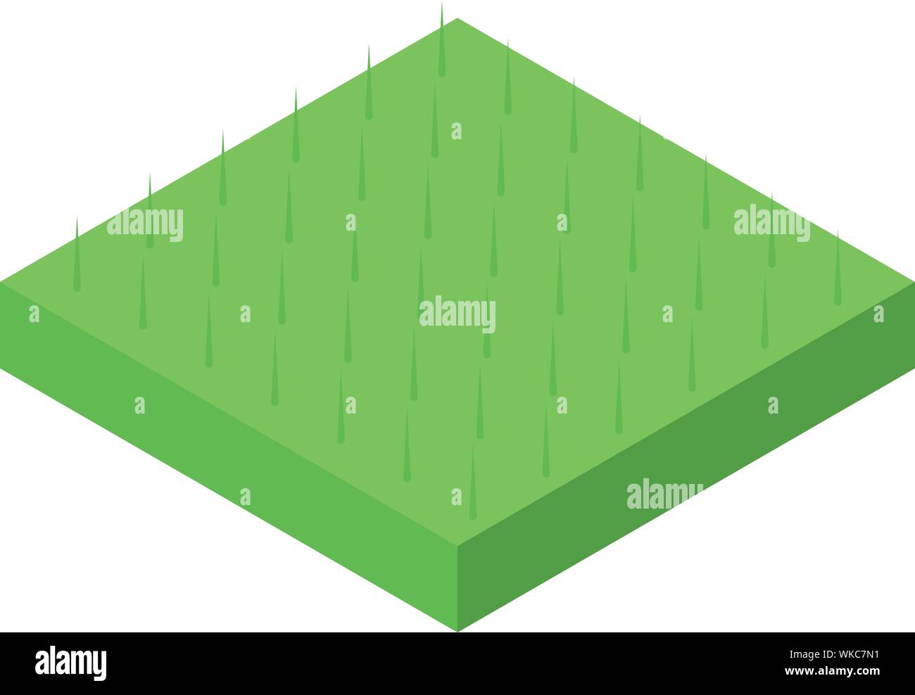 Grass square icon, isometric style Stock Vector Image & Art - Alamy