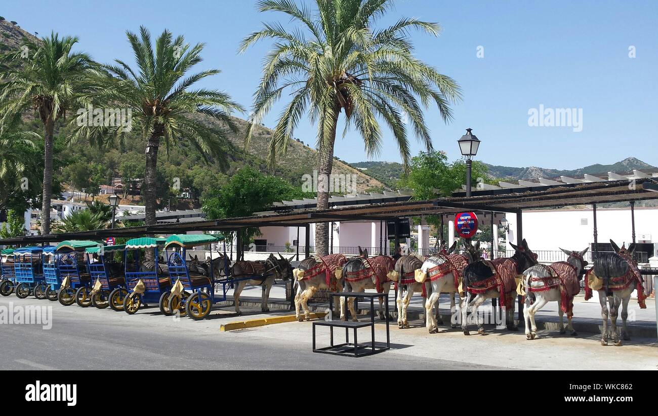 No donkey cart hi-res stock photography and images - Alamy