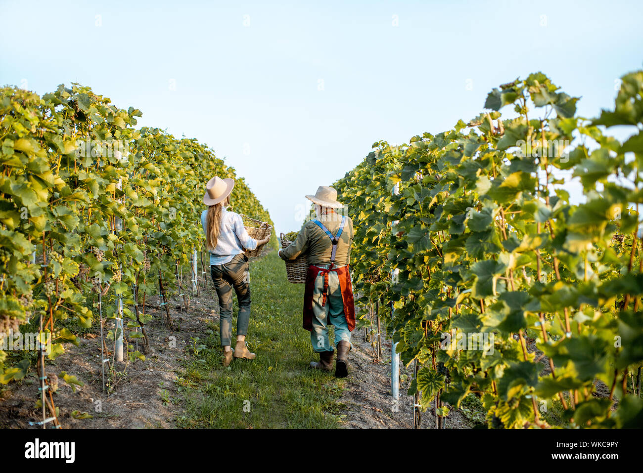 Senior man with young woman walking with baskets full of freshly picked ...