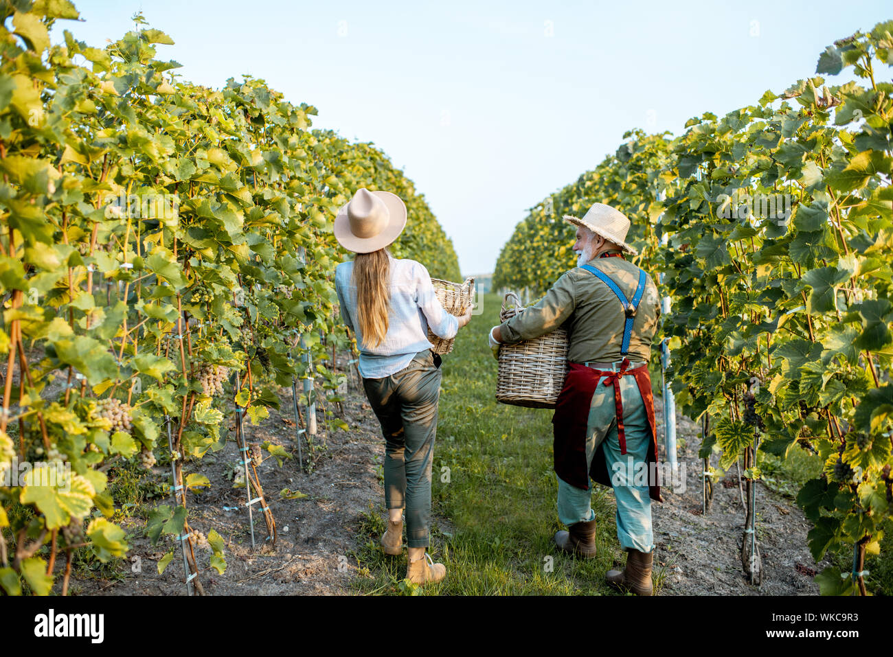 Senior man with young woman walking with baskets full of freshly picked ...