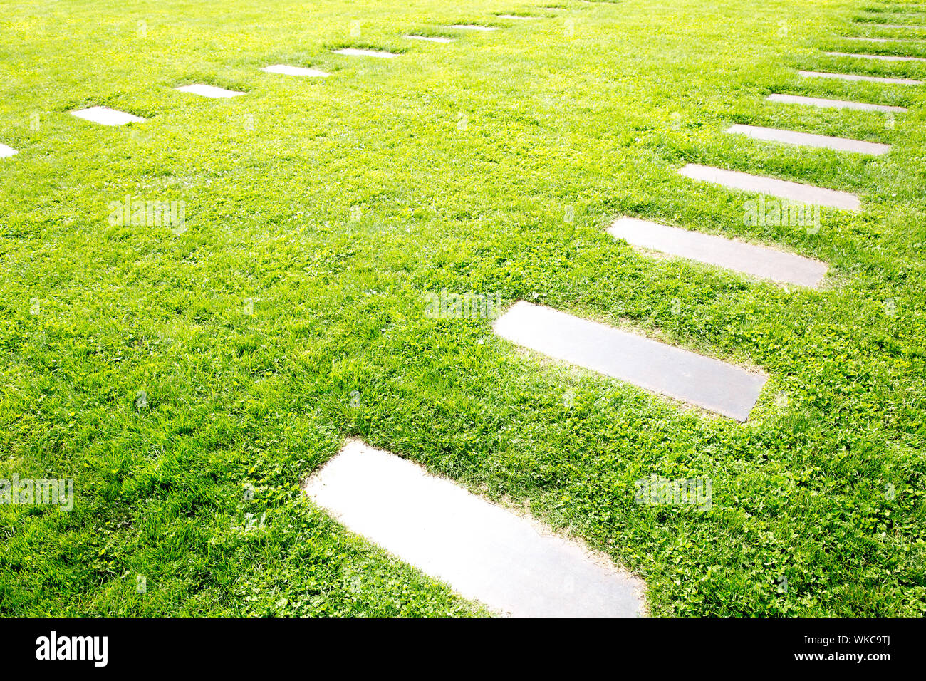Stepping on grass hi-res stock photography and images - Alamy