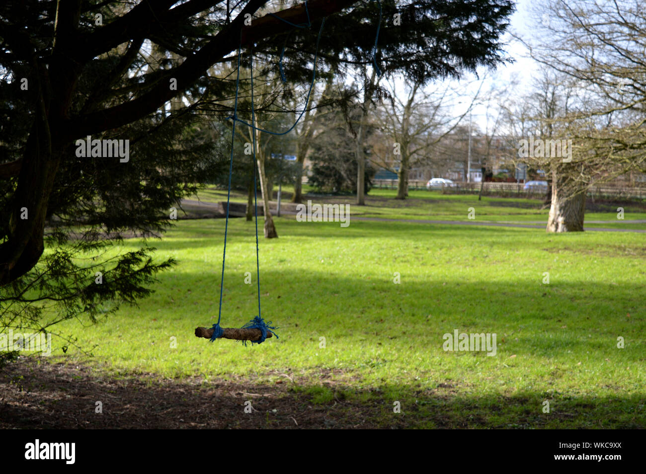 Tree with rope swing hi-res stock photography and images - Alamy