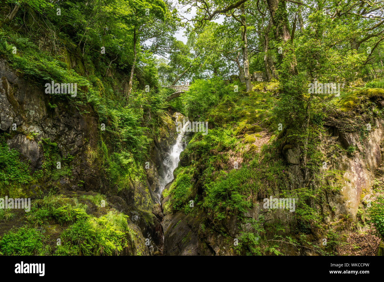 Aira Force Waterfall High Resolution Stock Photography and Images - Alamy