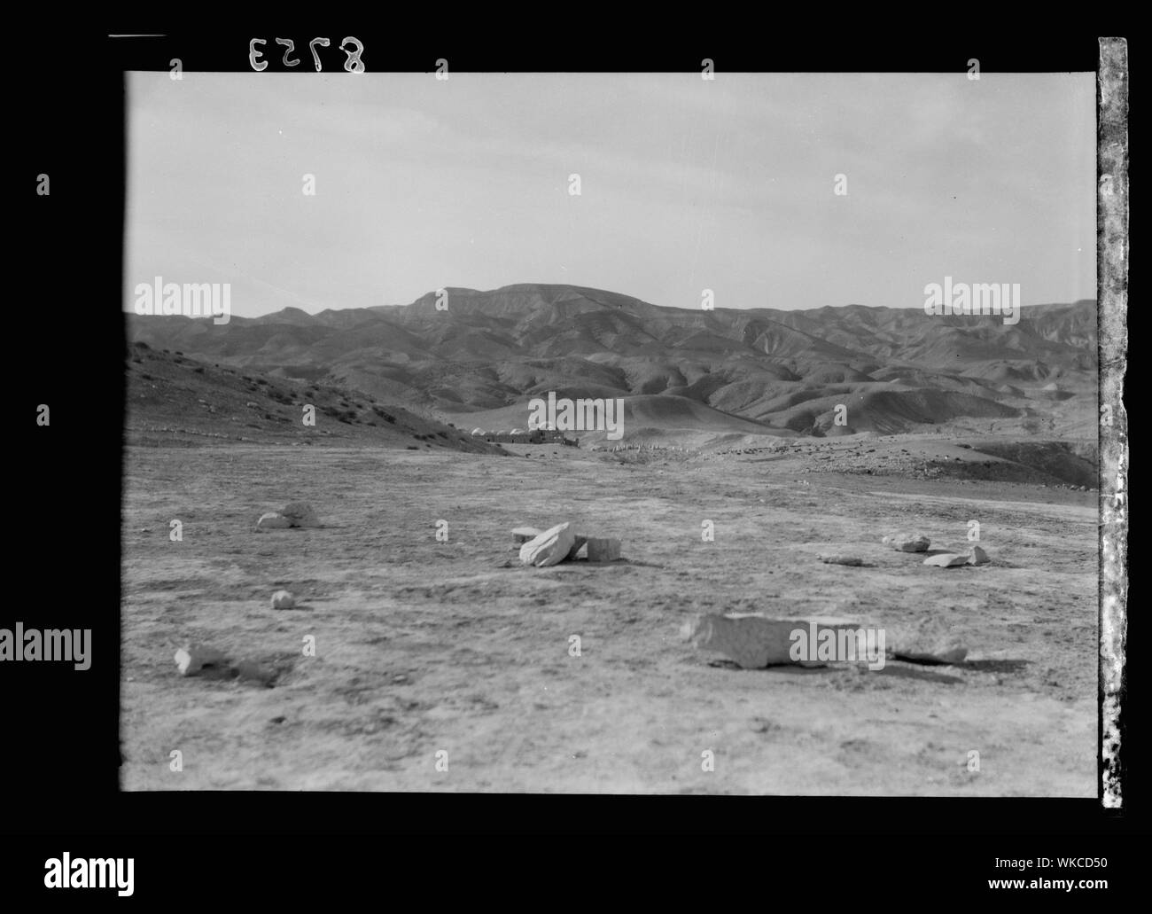 Jericho & Jordan area. Distant view of Neby Mousa i.e., Nebi Musa Stock ...