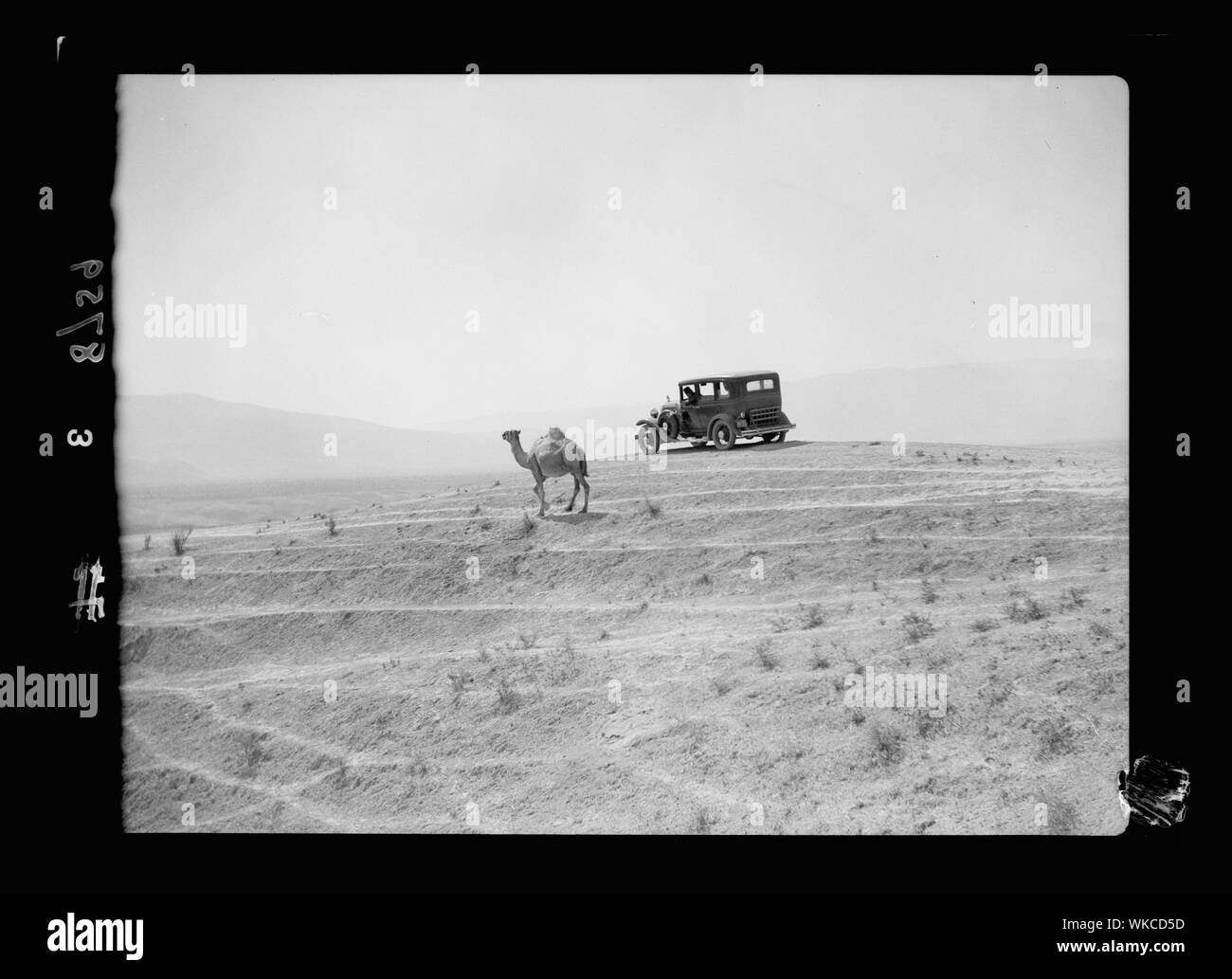 Jericho & Jordan area. Wady Faraa, Watchman's sun shelter Stock Photo ...