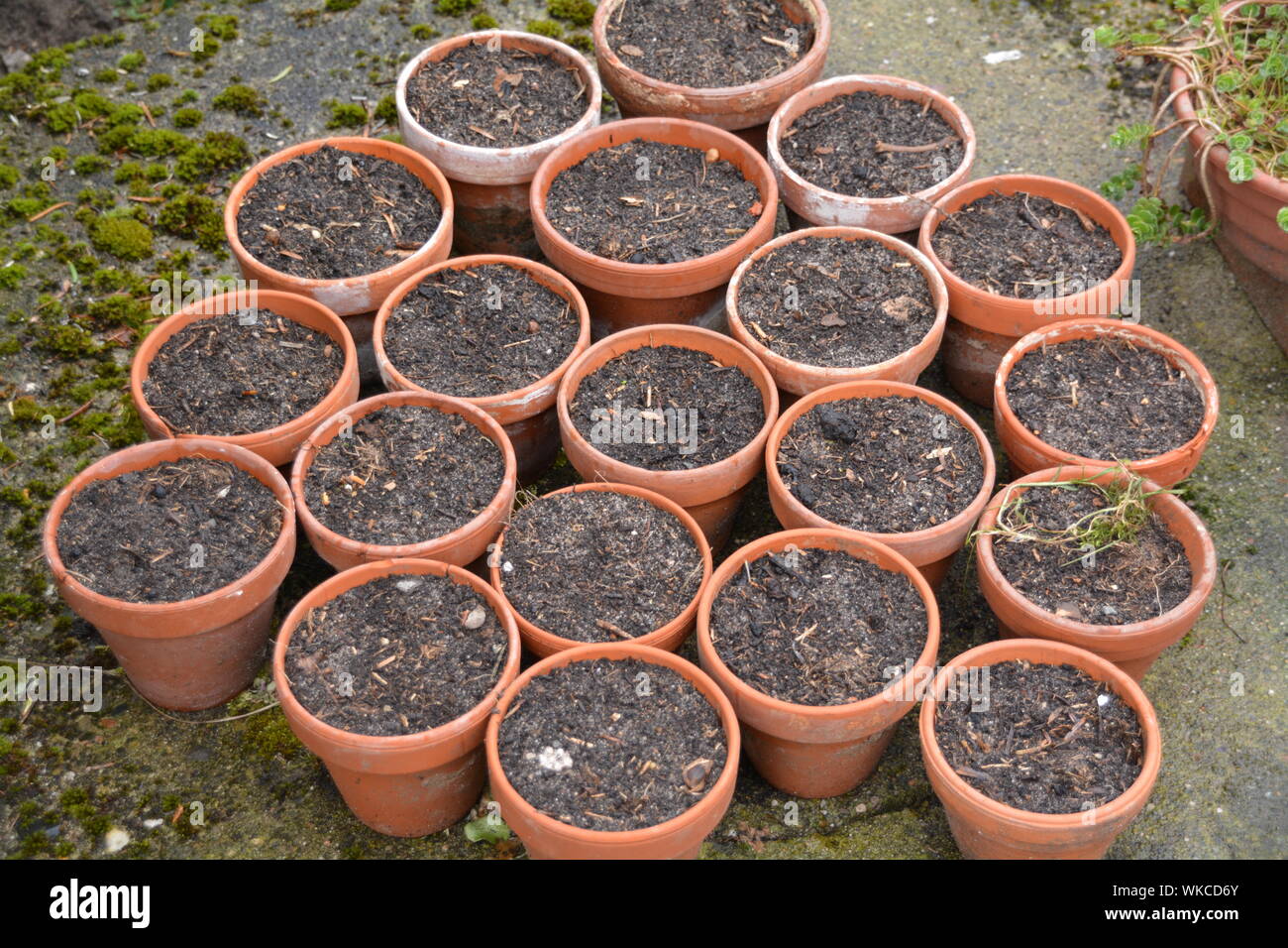 Mud or clay hi-res stock photography and images - Alamy