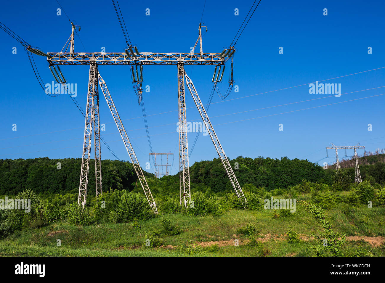 summer landscape close-up Front power lines in a green field Stock ...