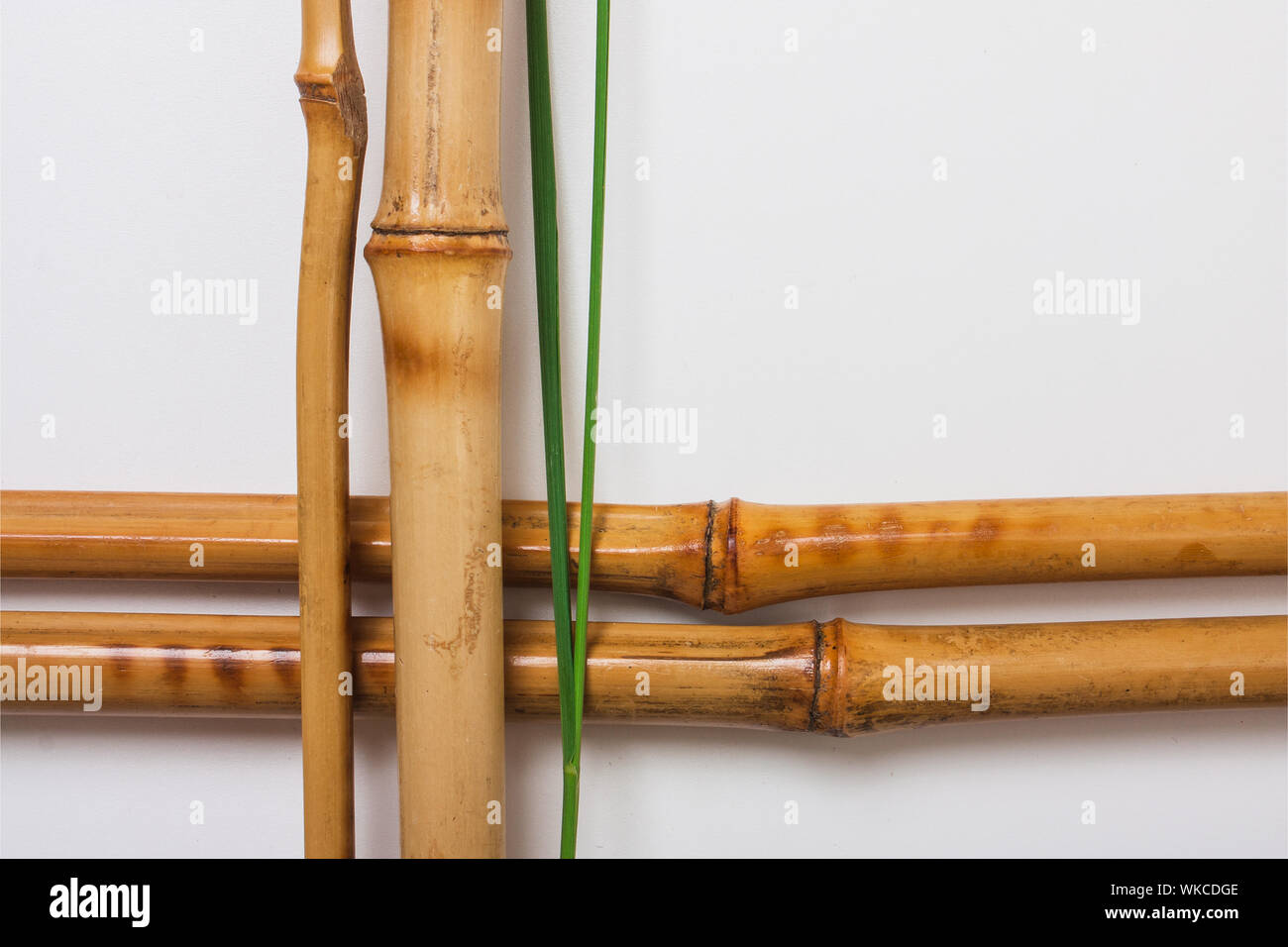 Bamboo on a white background Stock Photo - Alamy