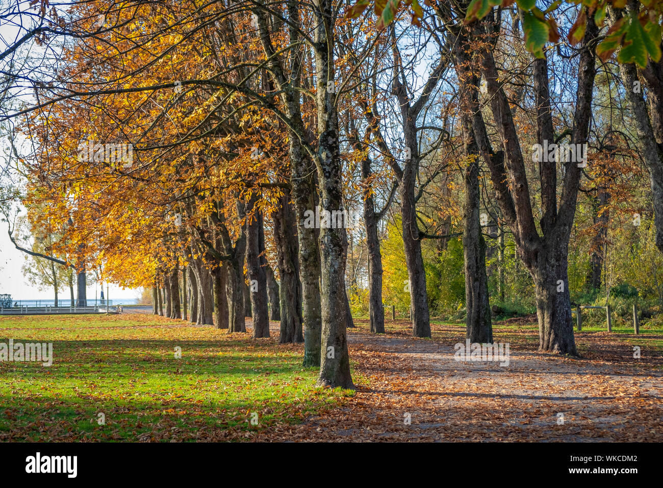 Lochau am bodensee hi-res stock photography and images - Alamy