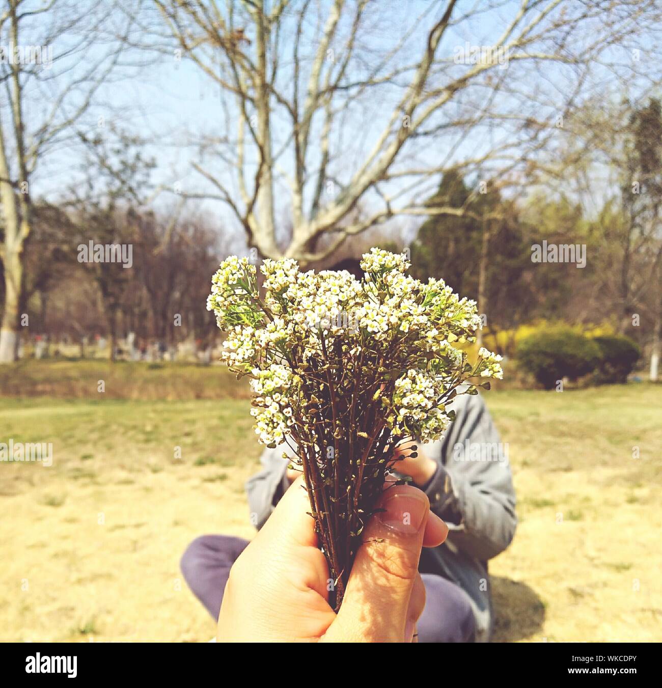 Hand giving flowers hi-res stock photography and images - Alamy